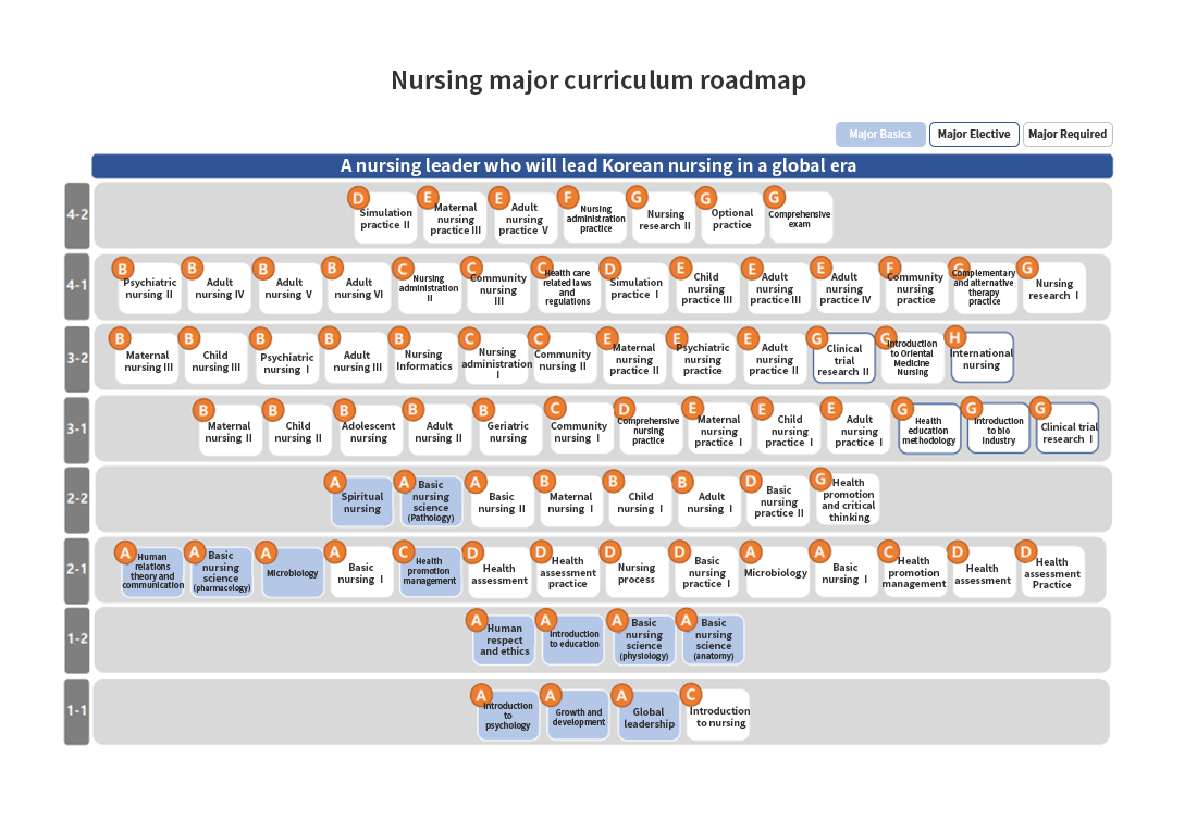 간호학과 | Major Roadmap